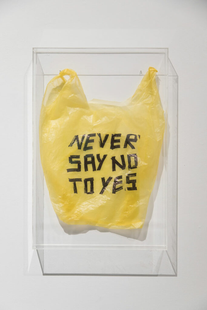 Driton Selmani - Albanian Institute New York